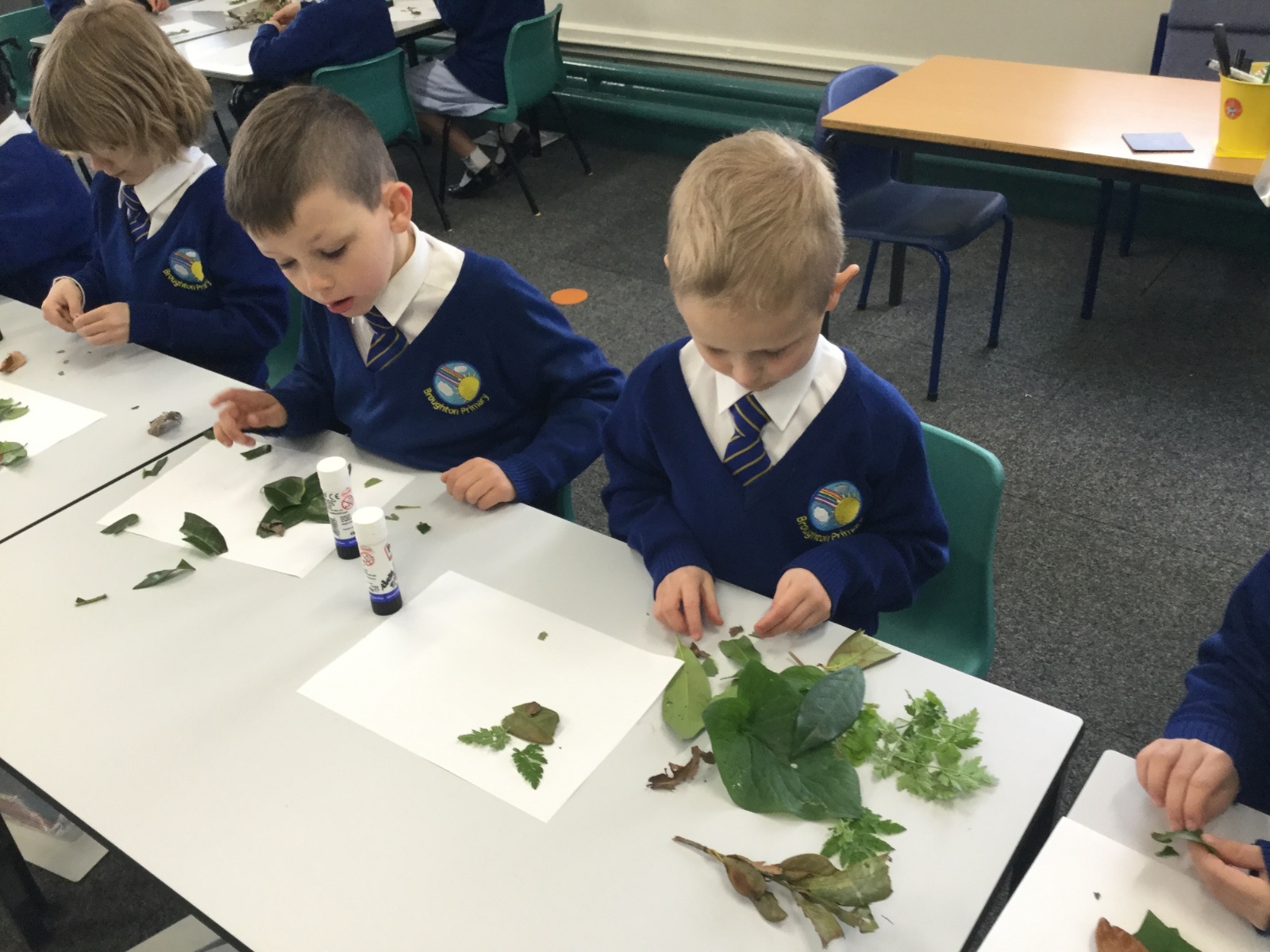 Broughton Primary School - Plant Artwork 2021
